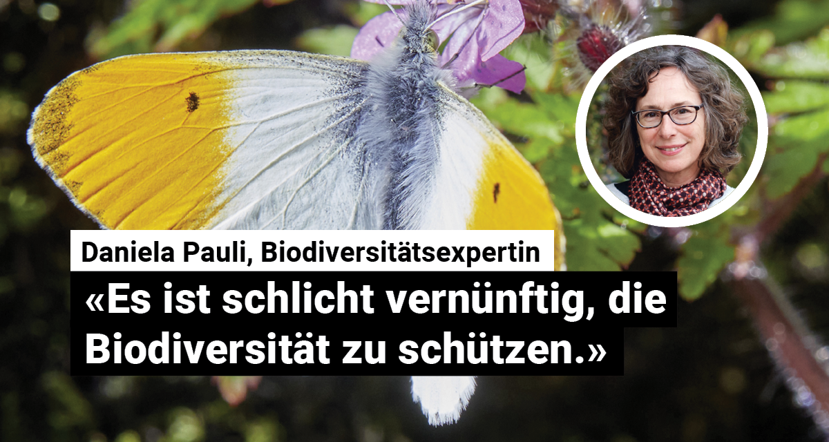 «Es ist schlicht vernünftig, die Biodiversität zu schützen.»